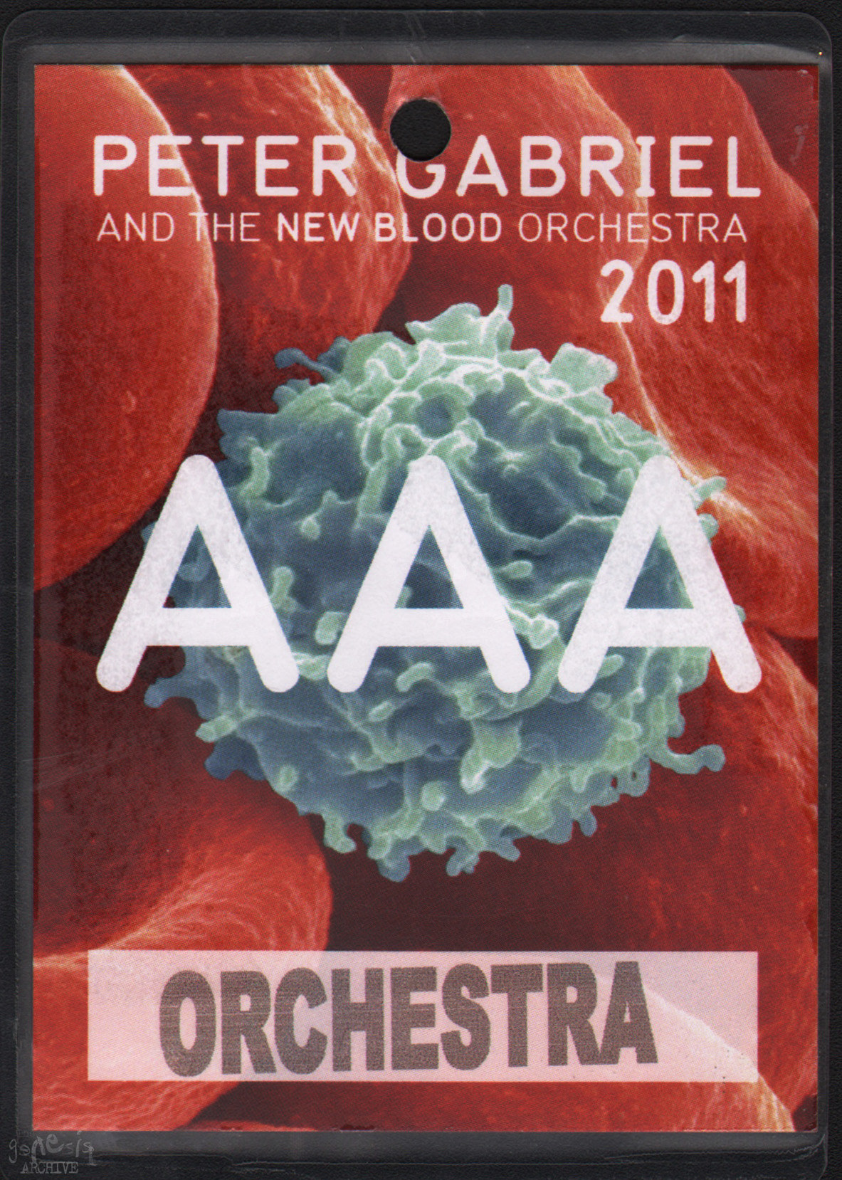Laminate – PG – AAA Pass – New Blood – The Genesis Archive